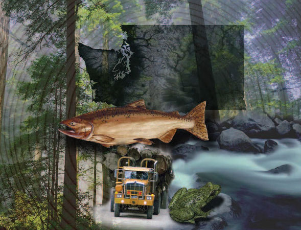 Home / CMER IMS / Cooperative Monitoring, Evaluation, and Research ...